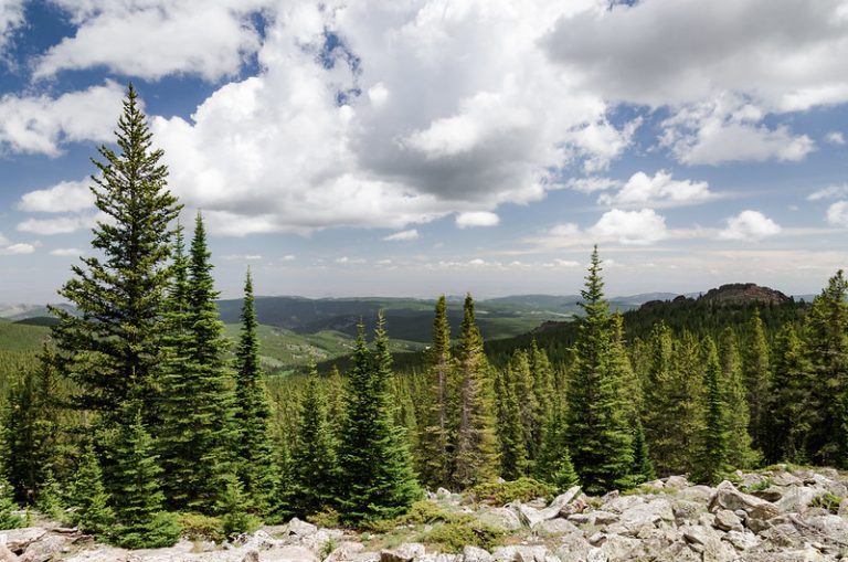 50062079063_08b45002bb_c – Sheridan County Travel and Tourism