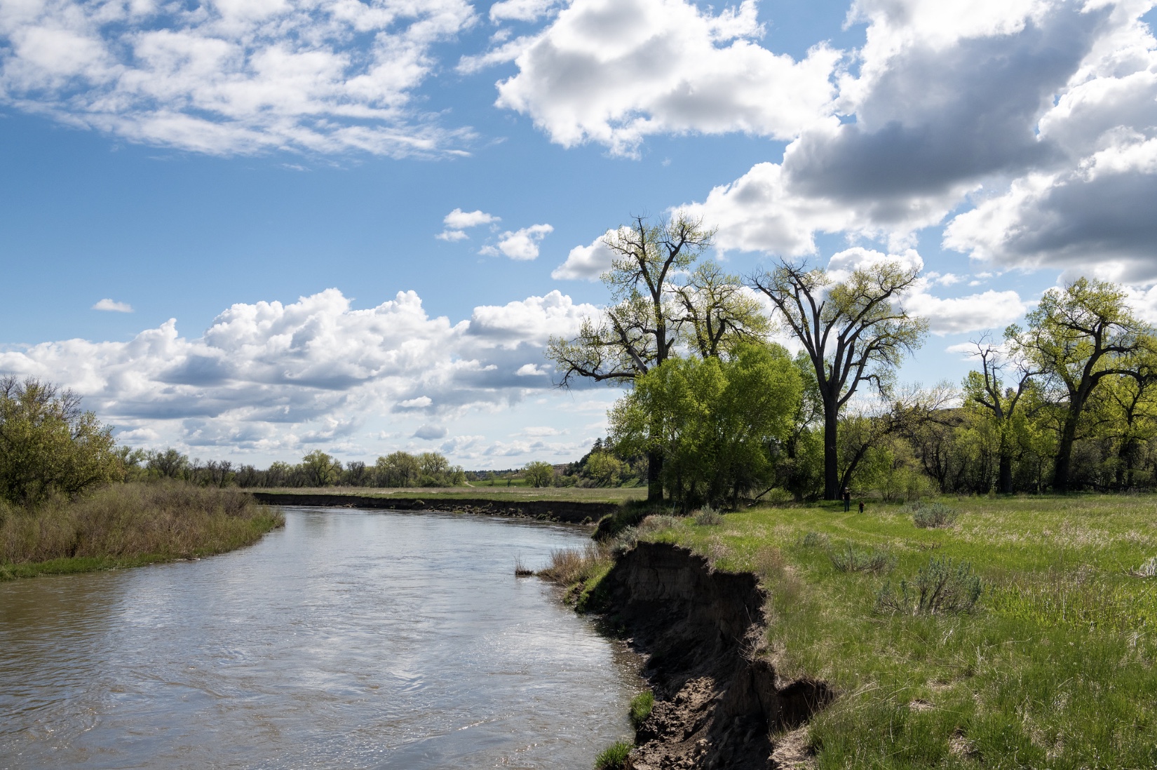 10 Best Day Hikes in Sheridan, Wyoming – Sheridan County Travel and Tourism